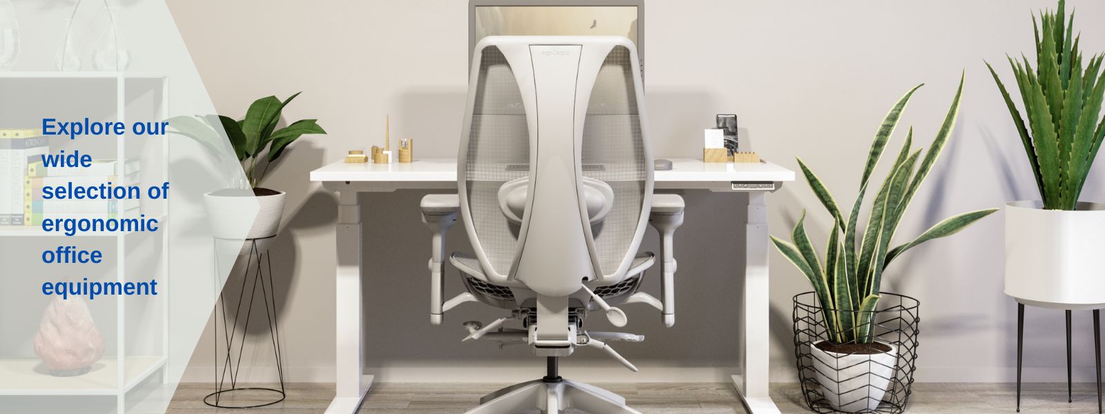 Ergonomic Office Chairs, Electric Height Adjustable Desks | ErgoEquip